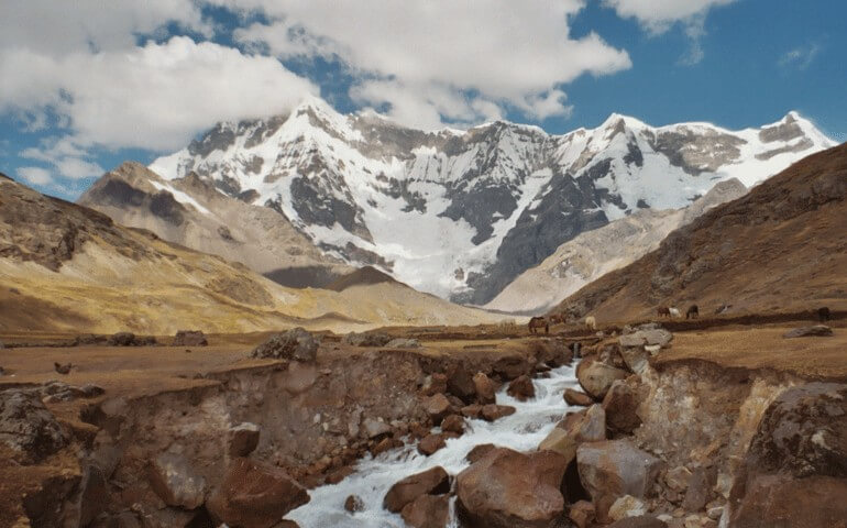 Markha Valley Trek Guide 2024: Highlights, Best Time, Cost, How To ...