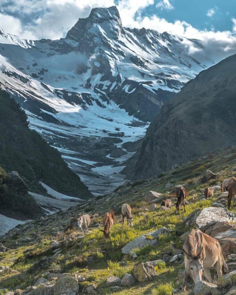 Milam Glacier Trek 2024: Highlights, Cost, Best Time To Visit, Map ...