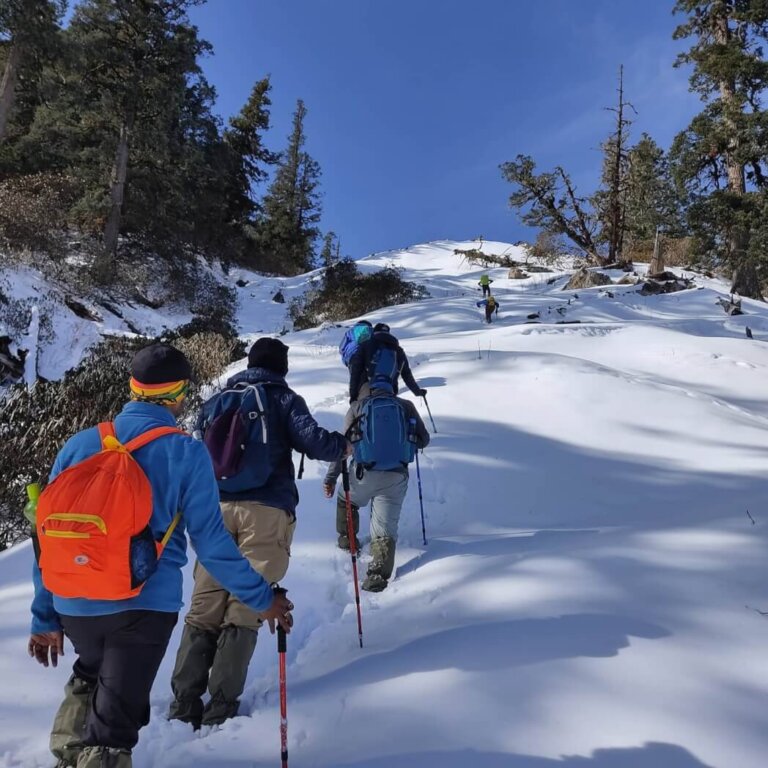 Pindari Glacier Trek 2024: Best Time To Visit, Cost, Route, Itinerary ...