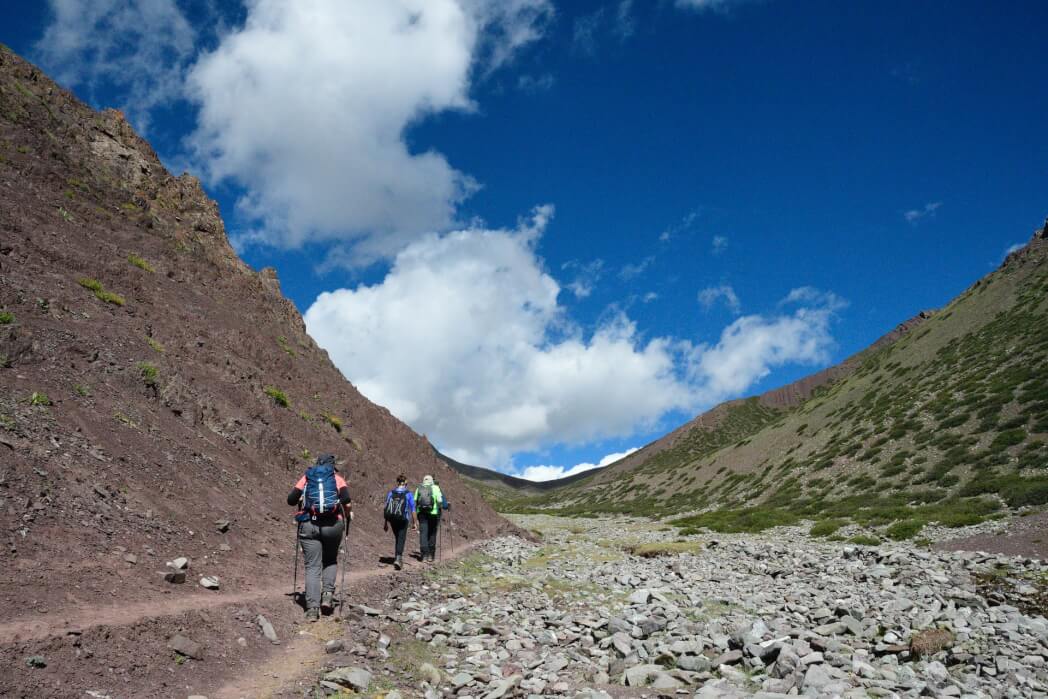 Snow Leopard Trek 2023: Highlights, Best Time, Things To Do And ...