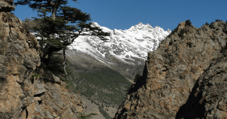 Bagini Glacier Trek Guide 2024: History, Highlights, Best Time ...