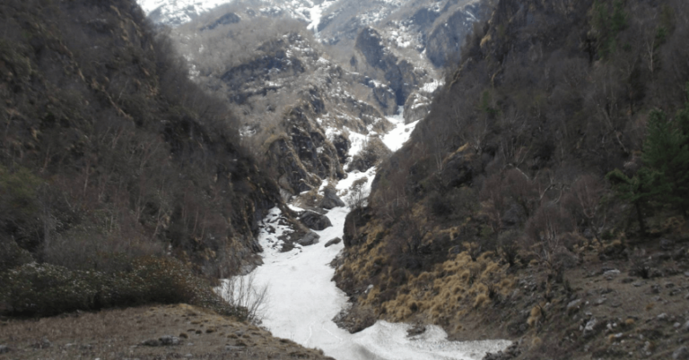 Bagini Glacier Trek Guide 2024: History, Highlights, Best Time ...