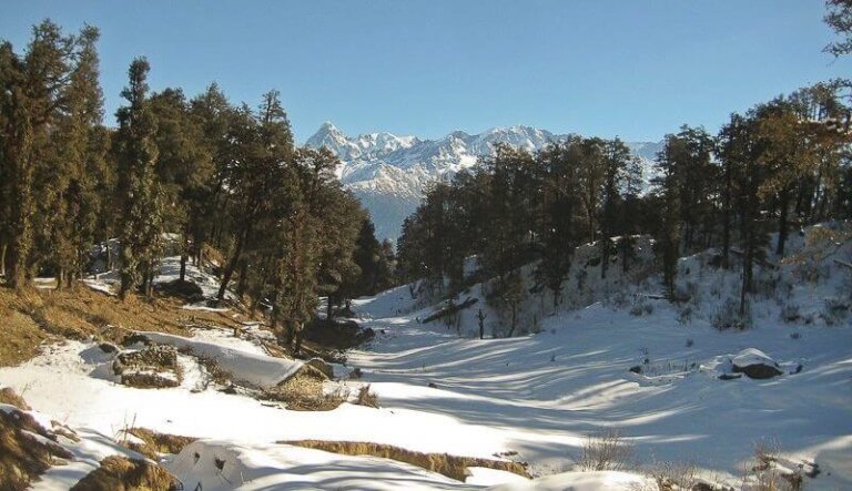 Dayara Bugyal Trek Guide 2024: Highlights, Best Time And Itinerary ...