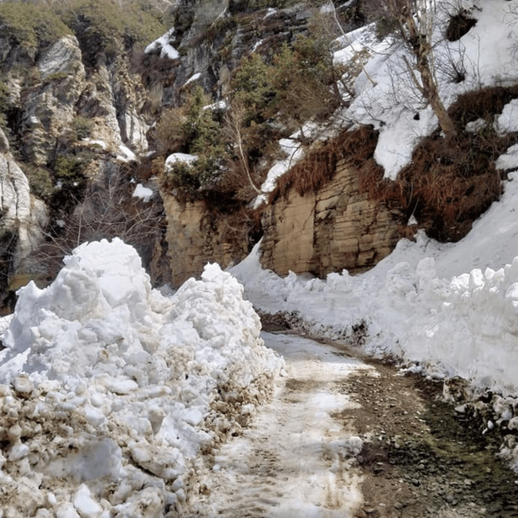 Sach Pass Trek Guide 2024: History, Highlights, Best Time, How To Reach ...