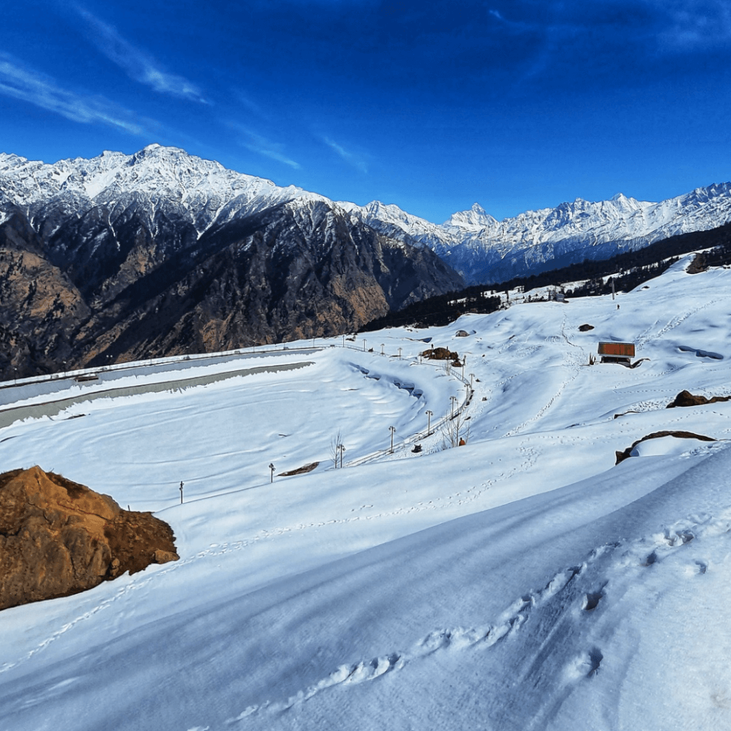 Auli Snow View Trek Guide 2024: History, Highlights, Best Season, How ...