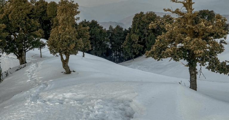 Nag Tibba Trek Guide 2024: History, Highlights, Best Time, How To Reach ...