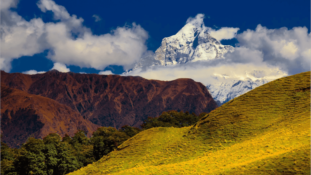 Nanda Devi Inner Sanctuary Trek Guide 2024: History, Highlights, Best ...