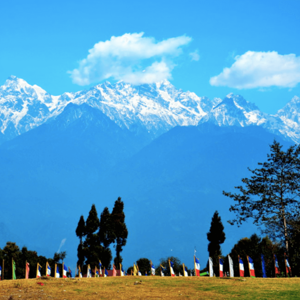 Barsey Rhododendron Trek: History, Highlights, Best Time & Itinerary ...