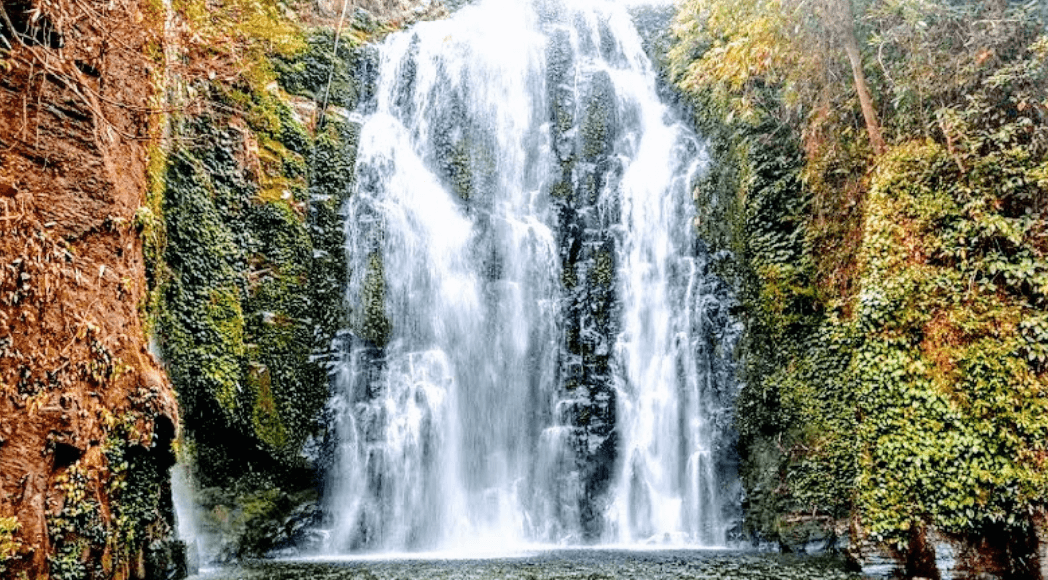 Best Places To Visit In Assam, Best Cuisine Of Assam 2024 & FAQ's ...