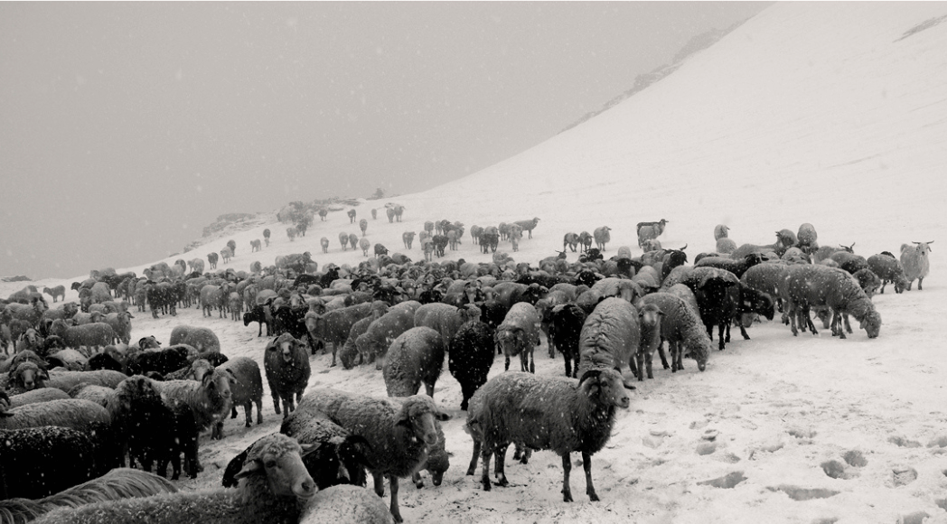 Rupin Pass Trek Guide 2024: History, Highlights, Best Time, How To ...