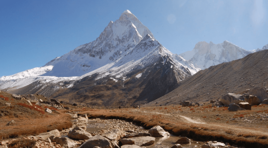 Gangotri Nandavan Tapovan Trek Guide 2024: History, Best Time, How To ...