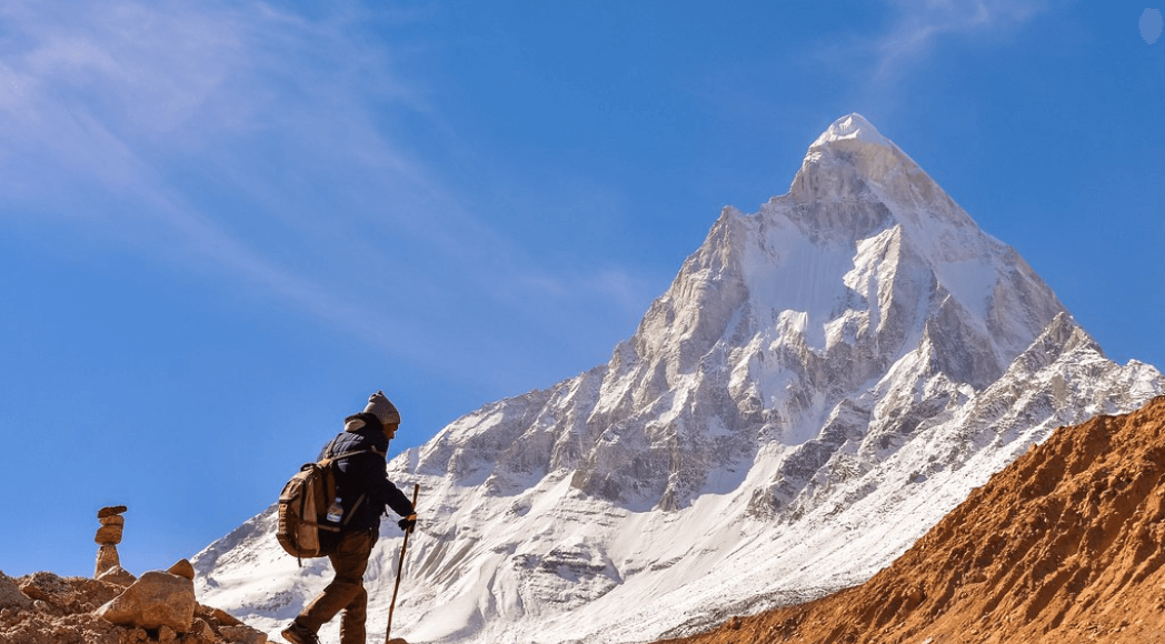 Gangotri Nandavan Tapovan Trek Guide 2024: History, Best Time, How To ...