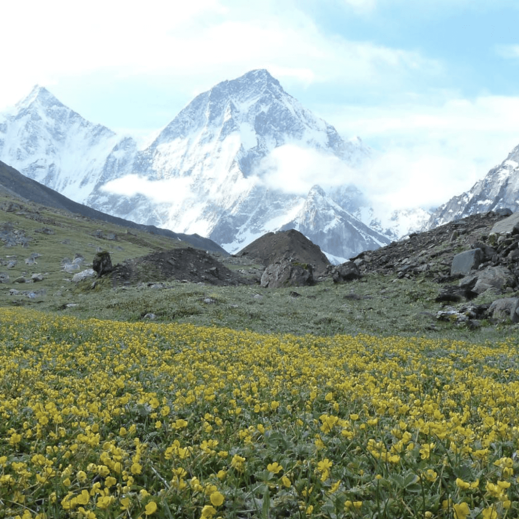 Kanari Khal Trek Guide 2024: Keypoints, Highlights, Best Time, How To ...