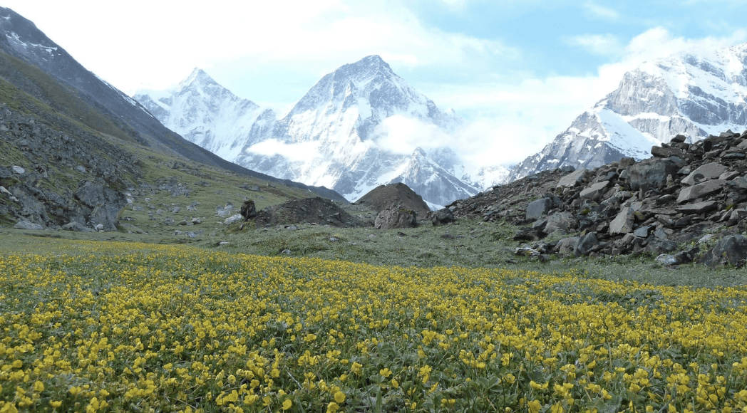 Kanari Khal Trek Guide 2024: Keypoints, Highlights, Best Time, How To ...