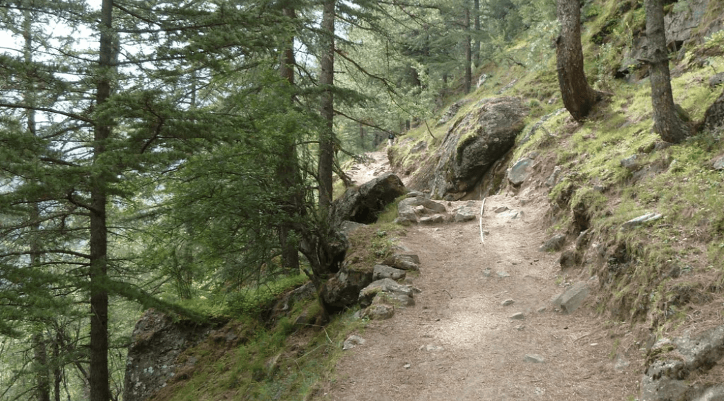 Kanari Khal Trek Guide 2024: Keypoints, Highlights, Best Time, How To ...