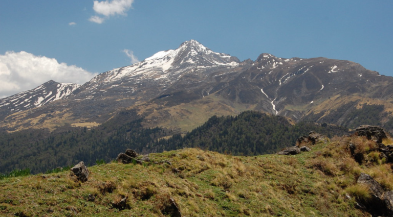 Pangarchulla Peak Trek Guide 2024: History, Highlights, Best Time, How ...
