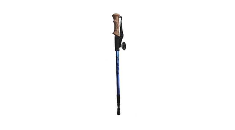 11 Best Trekking Poles In India 2024 • Scoutripper
