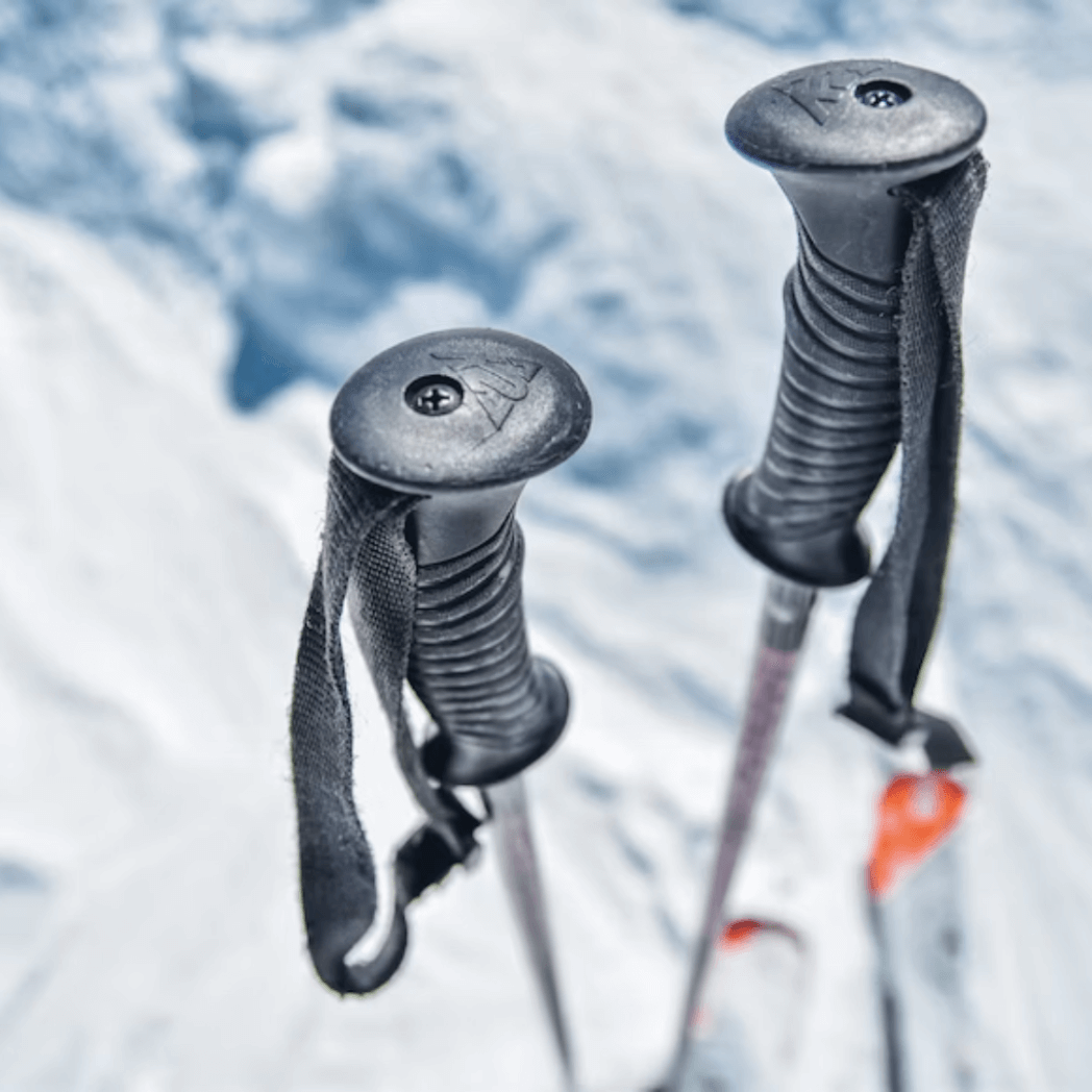 11 Best Trekking Poles In India 2024 • Scoutripper