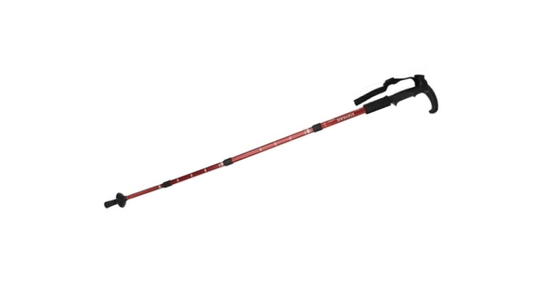 11 Best Trekking Poles In India 2024 • Scoutripper