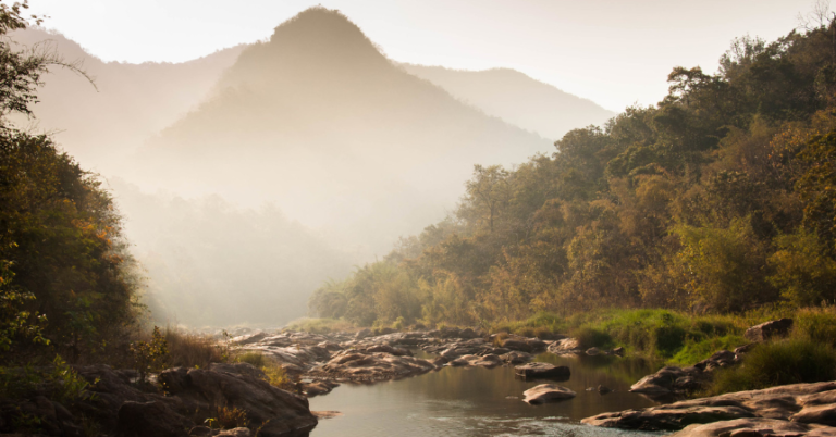 Delhi To Maredumilli Distance, History, Highlights, Places To Visit, Things To Do, Connectivity ...