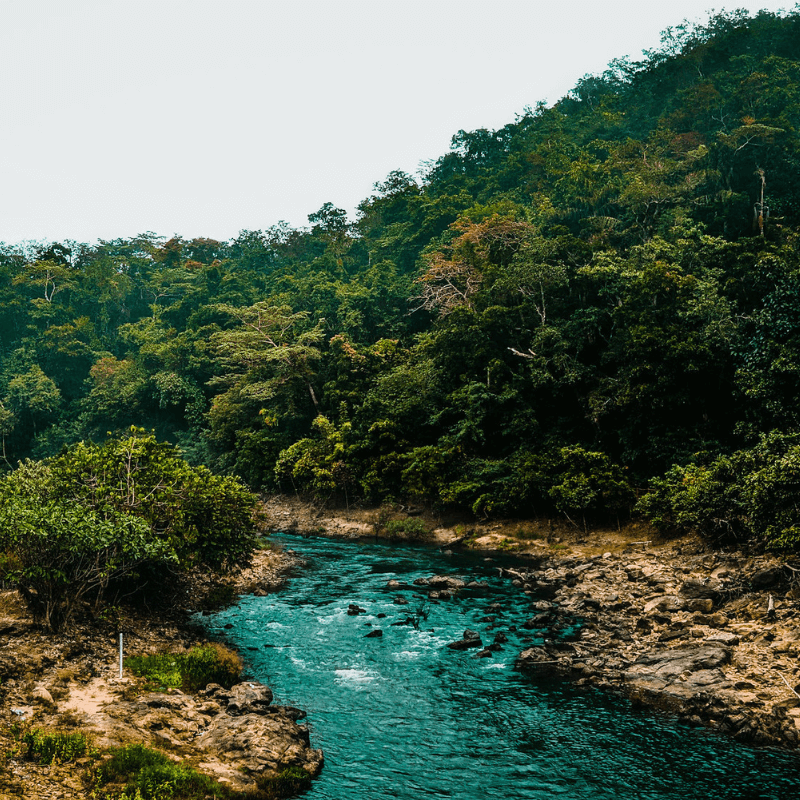 Delhi To Maredumilli Distance, History, Highlights, Places To Visit, Things To Do, Connectivity ...