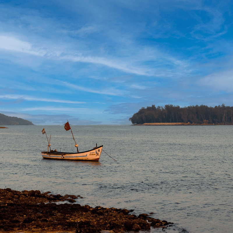 Distance • Scoutripper