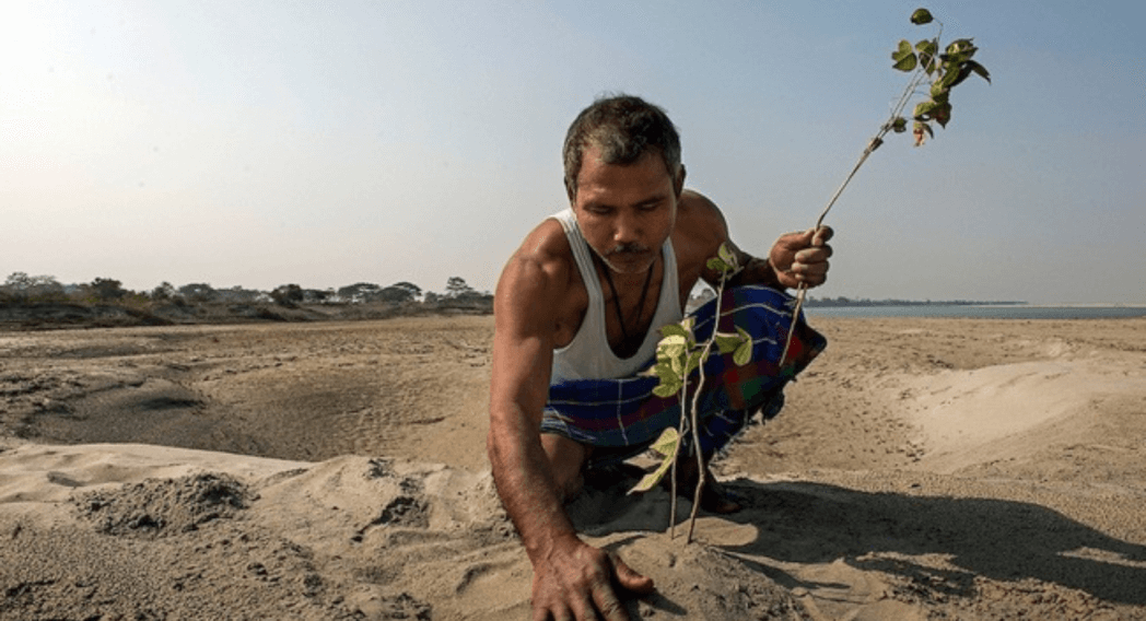 Jadav Payeng - The Forest Man Of India • Scoutripper