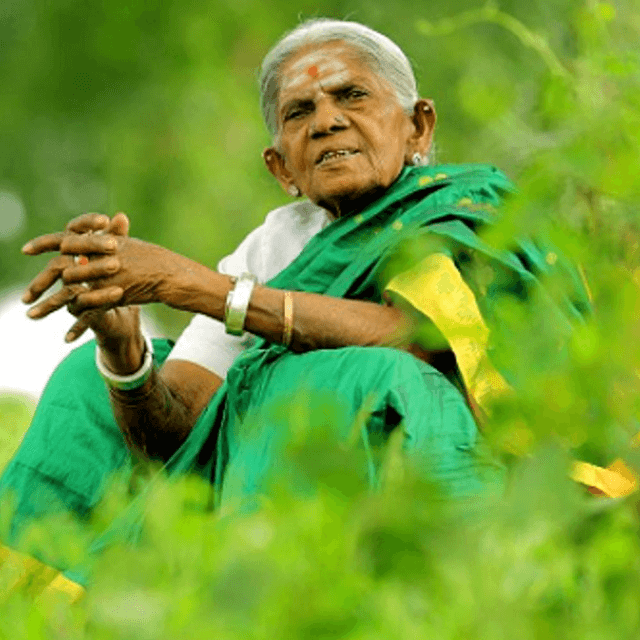 Saalumarada Thimmakka: The Tree Woman Of India • Scoutripper