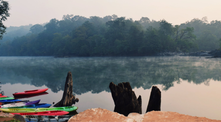 Delhi To Dandeli Distance, Connectivity, Places To Visit & FAQ's ...