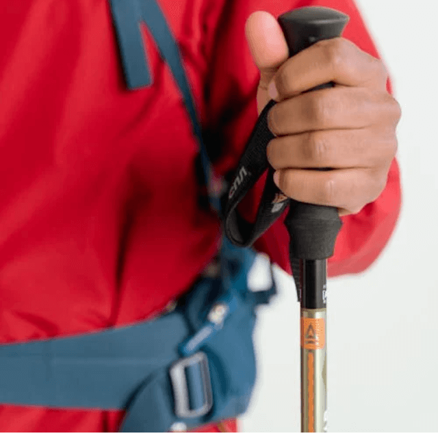How Do Trekking Poles Enhance Your Trekking Experience? • Scoutripper