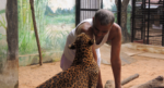 Prakash Amte - A Life Dedicated To Social Service And Wildlife Conservation • Scoutripper