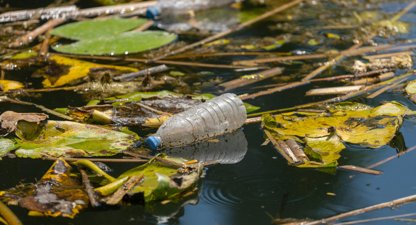 Micro-Trash Problem In The Himalayas: Beyond Plastic Bottles • Scoutripper