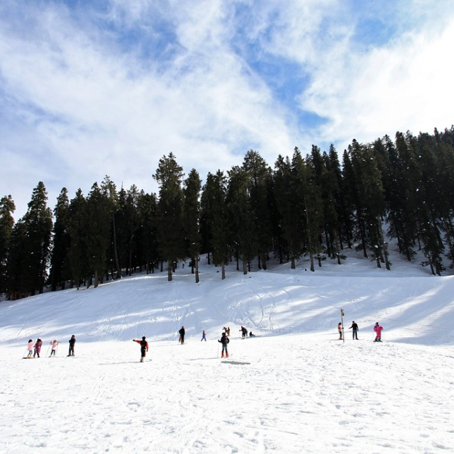 Narkanda - Scoutripper