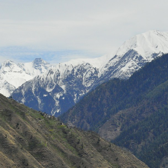 Chamba - Scoutripper